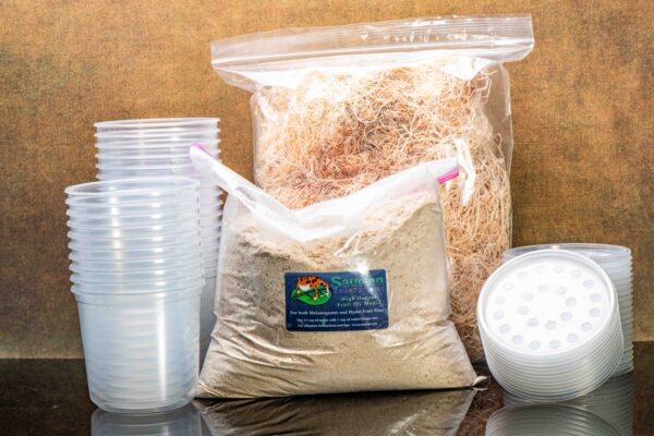 Fruit Fly Culturing Kits( 30 or 100 cultures w/ No Flies) - Saurian ...